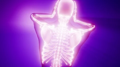 human skeleton radiography medical scan | Stock Video | Pond5