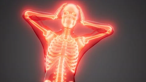 human skeleton radiography medical scan | Stock Video | Pond5