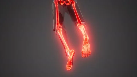 human skeleton radiography medical scan | Stock Video | Pond5