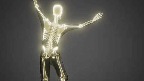 human skeleton radiography medical scan | Stock Video | Pond5