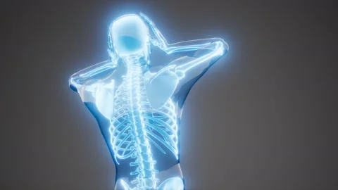 human skeleton radiography medical scan | Stock Video | Pond5