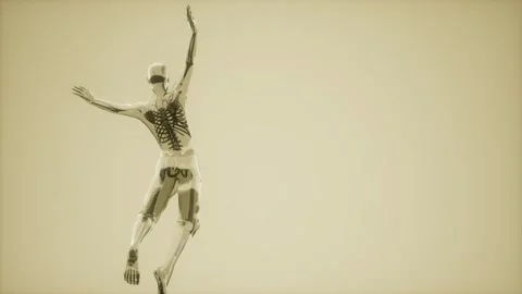 human skeleton radiography medical scan | Stock Video | Pond5
