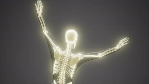 human skeleton radiography medical scan | Stock Video | Pond5