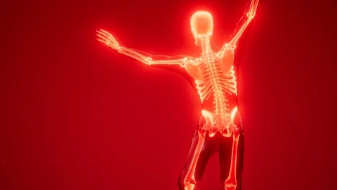 human skeleton radiography medical scan | Stock Video | Pond5