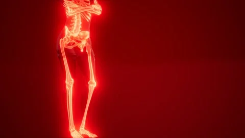 Human Skeleton Radiography Scan | Stock Video | Pond5