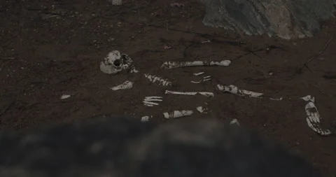 Human skeleton reveal buried in sand beh... | Stock Video | Pond5