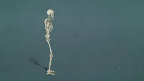 Skeleton Animations Loop Stock Video Footage | Royalty Free Skeleton ...