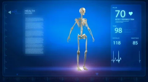 Human skeleton in rotation with x-ray sk... | Stock Video | Pond5