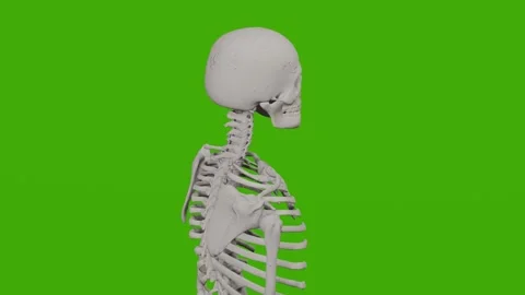 Skeleton Green Screen Stock Video Footage | Royalty Free Skeleton Green ...