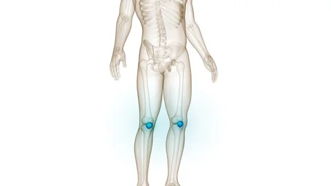 Human Skeleton System Patella Bone Joint... | Stock Video | Pond5