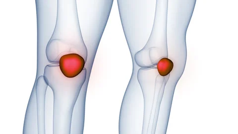 Human Skeleton System Patella Bone Joint... | Stock Video | Pond5