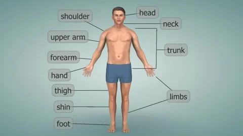 Human skin body parts | Stock Video | Pond5
