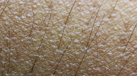 Human skin closeup macro shot, Dolly | Stock Video | Pond5
