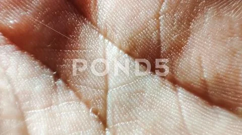 Photograph: Human skin texture. Macro healthy and young hand skin ...