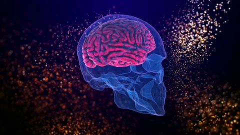 Human skull and active brain memory 3D v... | Stock Video | Pond5