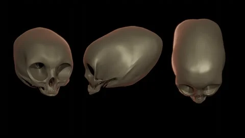 Human skull elongated. 3d animation rend... | Stock Video | Pond5