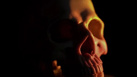 Ηuman skull from morgue autopsy school | Stock Video | Pond5