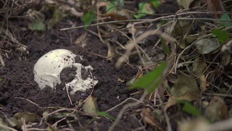 Human Skull Remains Buried In Soil, Cold... | Stock Video | Pond5