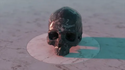 Human skull rotates and flips on a platf... | Stock Video | Pond5