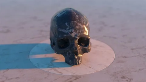 Human skull rotates and flips on a platf... | Stock Video | Pond5