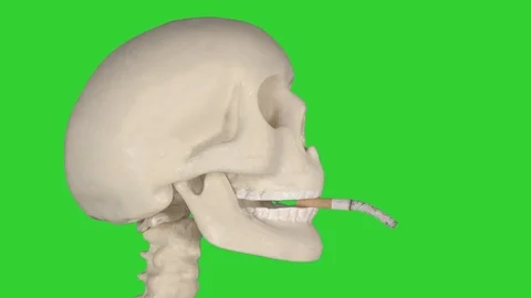 Human skull smoking a cigarette in studi... | Stock Video | Pond5