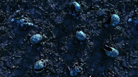 Human skulls scattered on the field of a... | Stock Video | Pond5