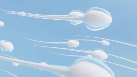 Sperm Animation Stock Videos – Royalty-Free HD & 4K Videos | Pond5