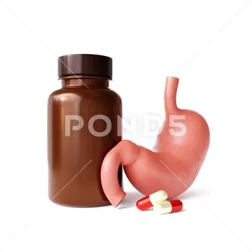 Human stomach and plastic bottle with medicine capsules Illustration ...