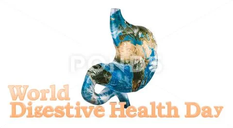 Human stomach with Earth map texture. World Digestive Health Day ...