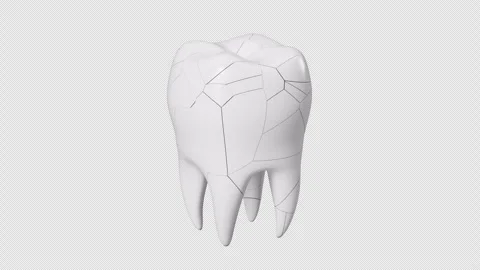 Tooth Alpha Stock Footage ~ Royalty Free Stock Videos | Pond5