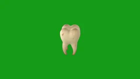 Human tooth motion graphics with green s... | Stock Video | Pond5