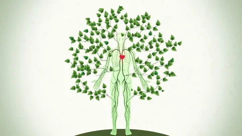 Tree Of Life Animation Stock Footage ~ Royalty Free Stock Videos | Pond5