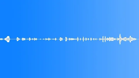 Humans Farts Human Fart Toilet Constant2 ~ Stock Sound #66850490