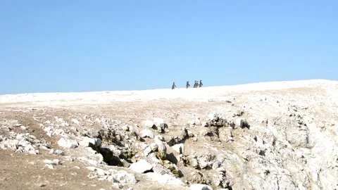 Singl File Stock Videos – Royalty-Free HD & 4K Videos