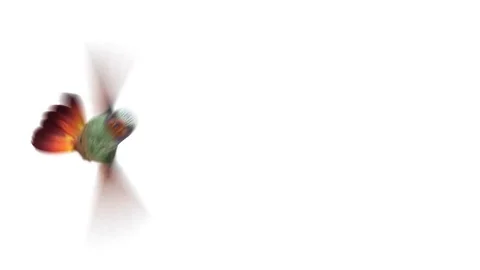 3D Animationbs Stock Videos – Royalty-Free HD & 4K Videos | Pond5