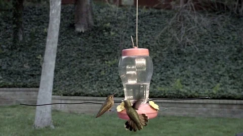 240Fps Stock Video Footage | Royalty Free 240Fps Videos | Pond5