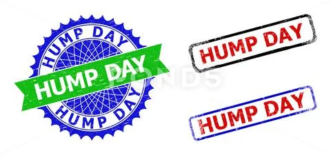 HUMP DAY Rosette and Rectangle Bicolor Seals with Scratched Styles ...