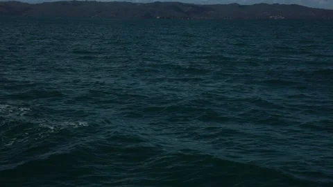 Humpback whale spinning in the water in ... | Stock Video | Pond5