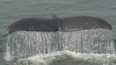 Slap Stock Video Footage | Royalty Free Slap Videos | Pond5