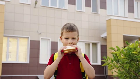 hungry student boy eating sandwich on sc... | Stock Video | Pond5