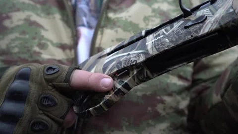 Camouflage Of Birds Stock Footage ~ Royalty Free Stock Videos | Pond5