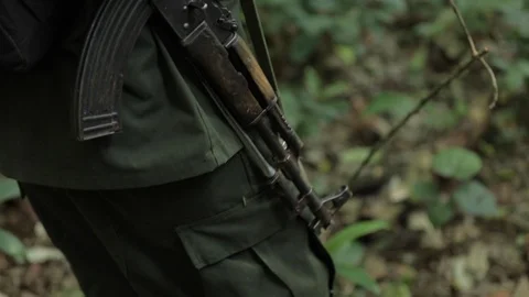 Congo Stock Footage ~ Royalty Free Stock Videos | Pond5