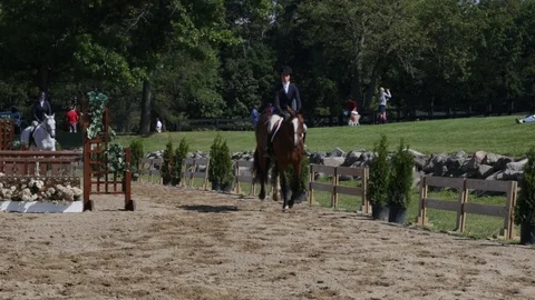 Horse Jumper Stock Videos – Royalty-Free HD & 4K Videos | Pond5