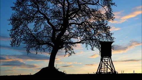 Hunting Stand Silhouette: Tree, Field, H... | Stock Video | Pond5