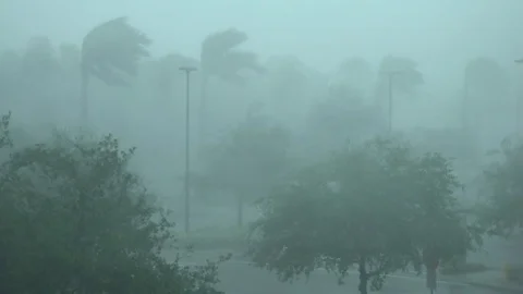 Hurricane Irma Eye Wall Violent Wind And... | Stock Video | Pond5