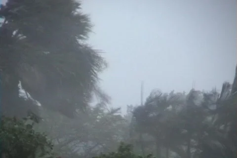 Hurricane Winds and Rain | Stock Video | Pond5