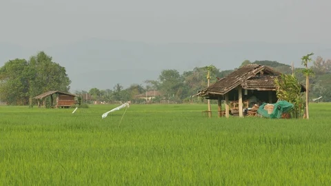 Shaking Hut Stock Footage ~ Royalty Free Stock Videos | Pond5