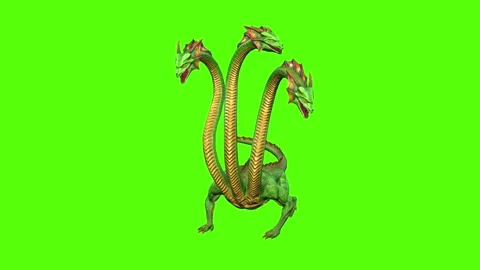 Green Hydra Stock Video Footage | Royalty Free Green Hydra Videos | Pond5