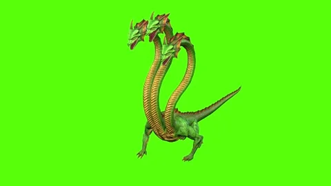 Green Hydra Stock Video Footage | Royalty Free Green Hydra Videos | Pond5
