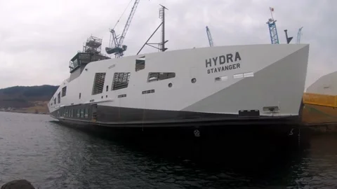 Green Hydra Stock Video Footage | Royalty Free Green Hydra Videos | Pond5